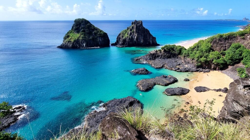Top 10 Shark Attack Hotspots: The World's Most Dangerous Waters