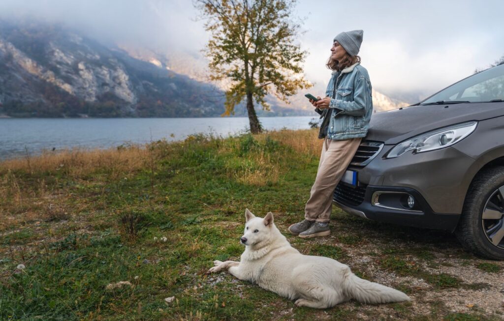 The Incredible Journey: Exclusive Animal-Friendly Road Trips Are Here