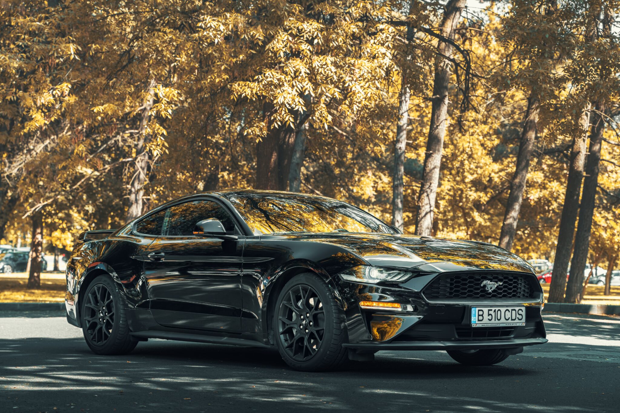 Stop Bullying the Ford Mustang EcoBoost, It's Actually Pretty Cool
