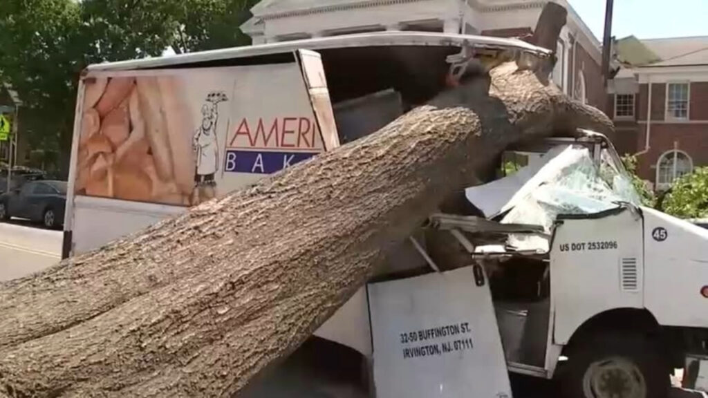 Massive Fallen Tree Traps Bakery Truck Driver in Newark Crash