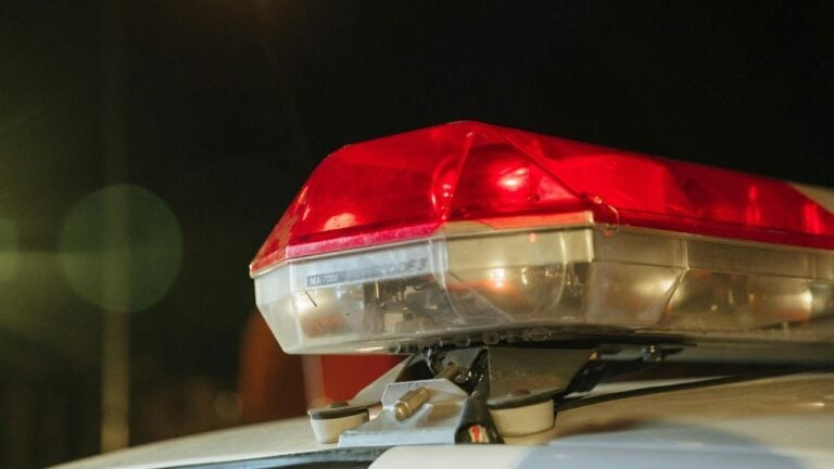South Carolina Man Accused of Forcing Woman Into Trunk Before High ...