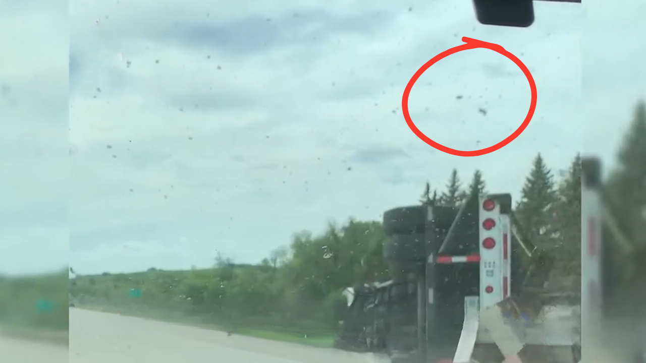Trucker Hauling 2 Million Bees Was Stung Hundreds of Times After His ...