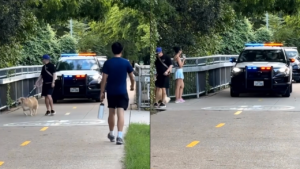Officer Calls Out Dog Walker Blocking Police: "Your Dog Has More ...
