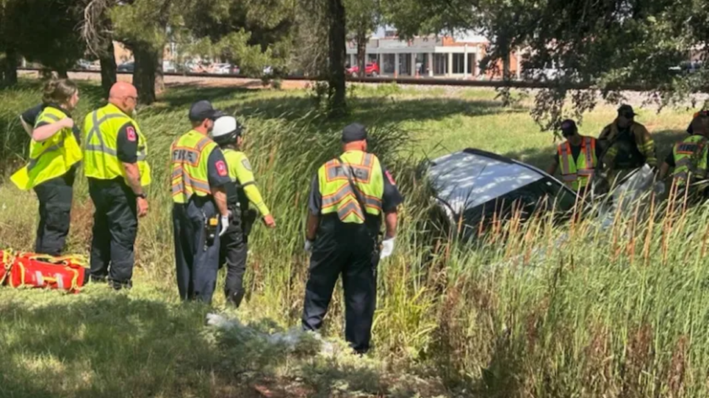 A Dangerous Move Across Traffic Ended in an Unexpected Landing Spot