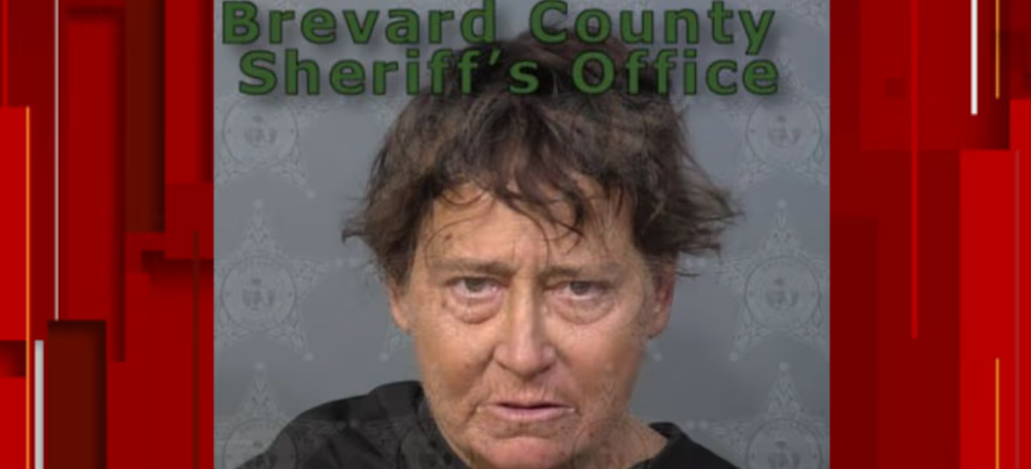 Florida Woman Allegedly Drove at Children and Called It "Target ...