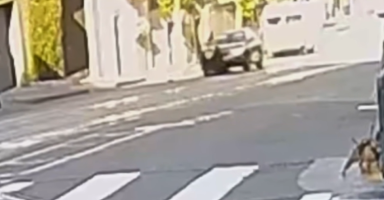 Shoplifting Suspect Killed, Two Officers Injured After Lexus Strikes ...