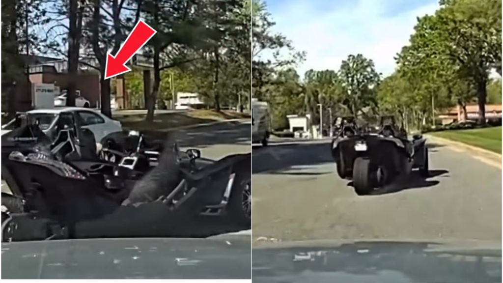 Many Drivers Assume This Vehicle Is a Car. Virginia Police Disagree ...