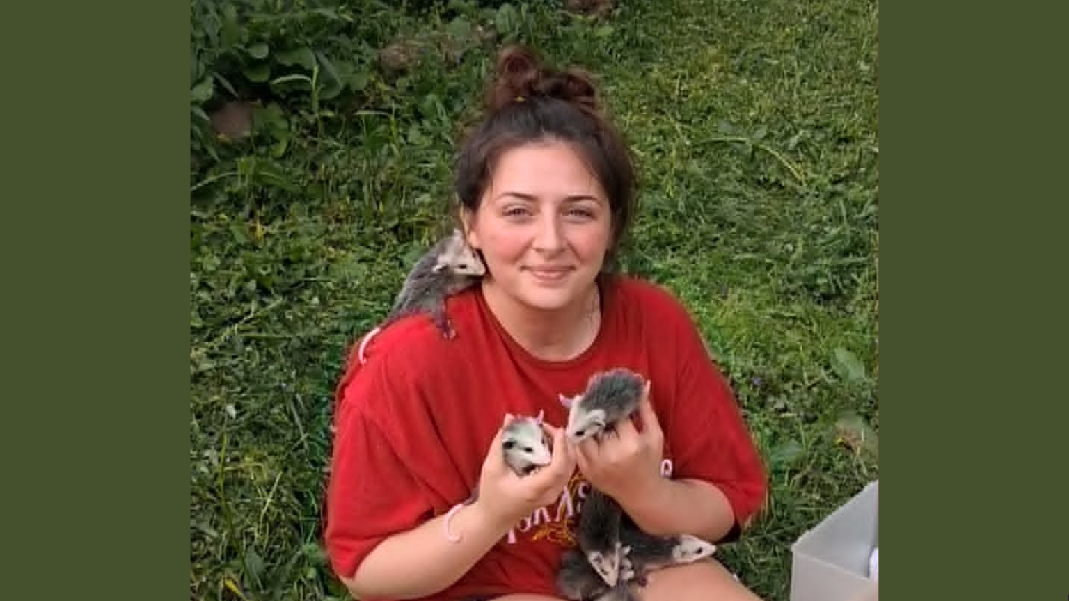 School Bus Driver Saved Eight Baby Opossums From Traffic. Days Later ...