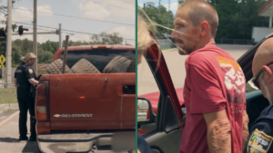 "This is Way Harder Than It Needs to Be": Video Shows Florida Man ...