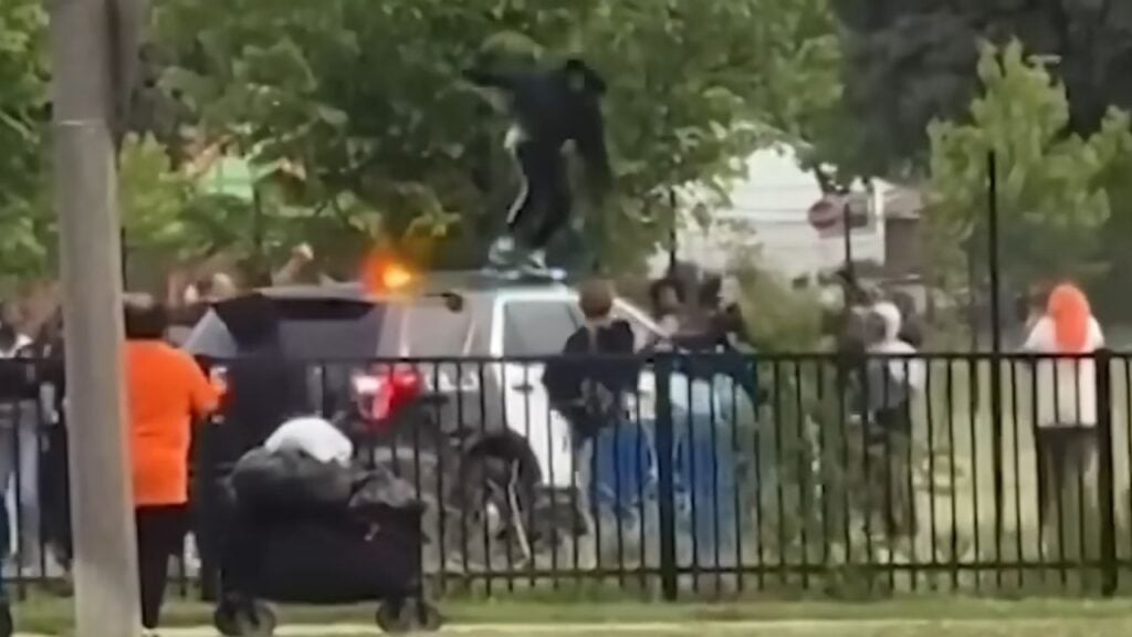 Milwaukee 15-Year-Old Arrested After Allegedly Jumping on Patrol Car ...